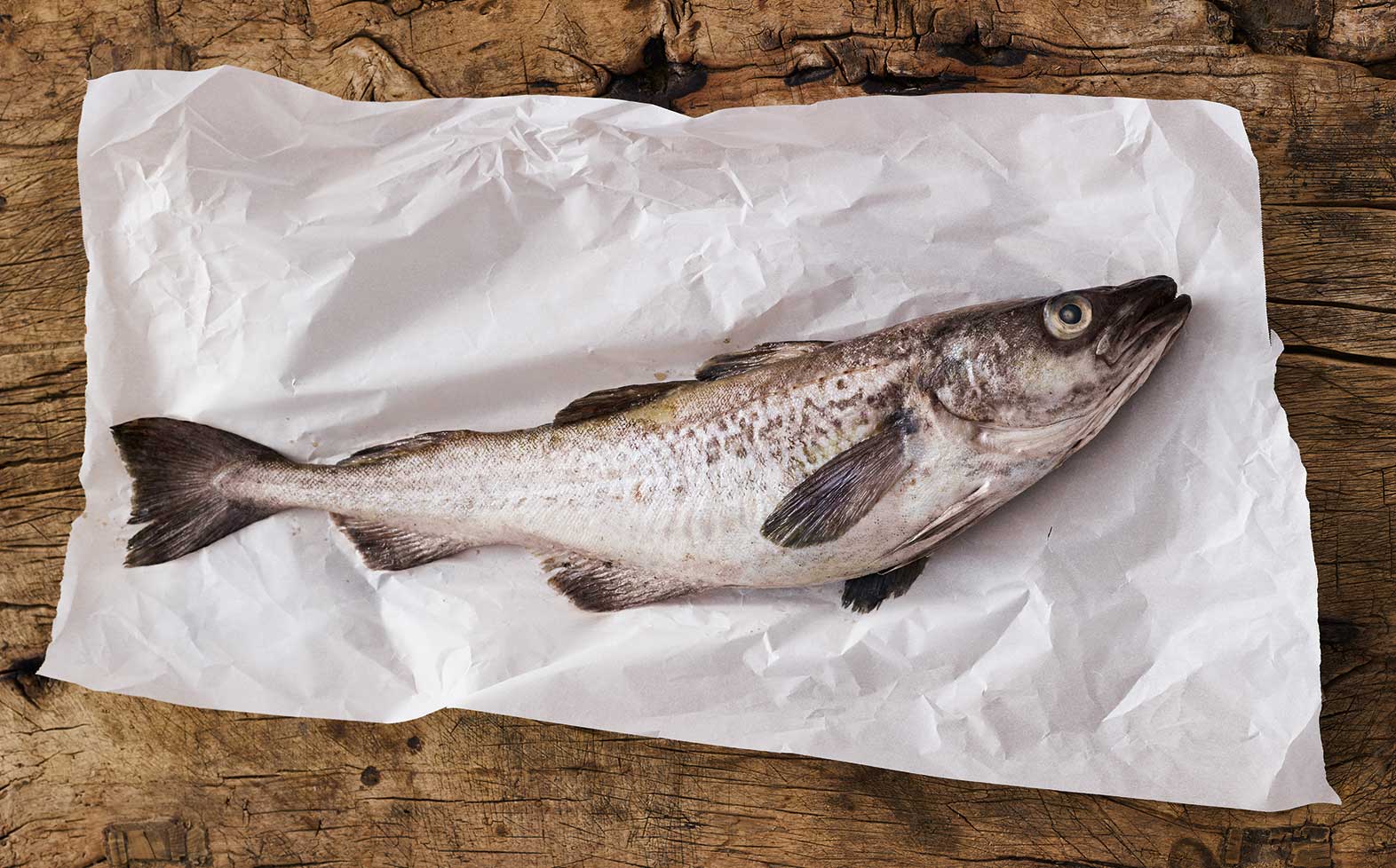 Wild Alaska Pollock - Heritage Radio Network